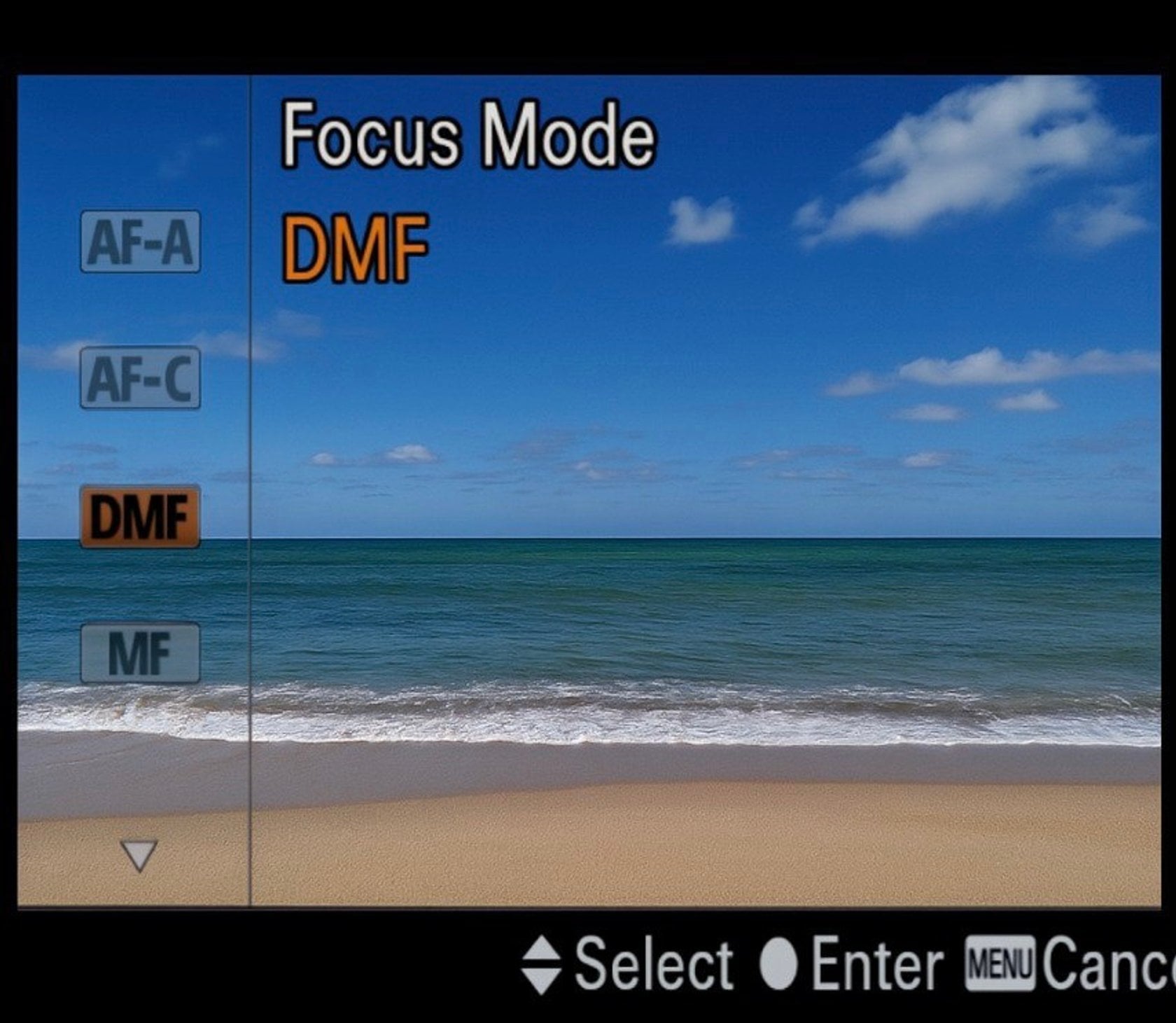 Camera Focus Types: What To Pick For Perfect Shots | Skylum Blog