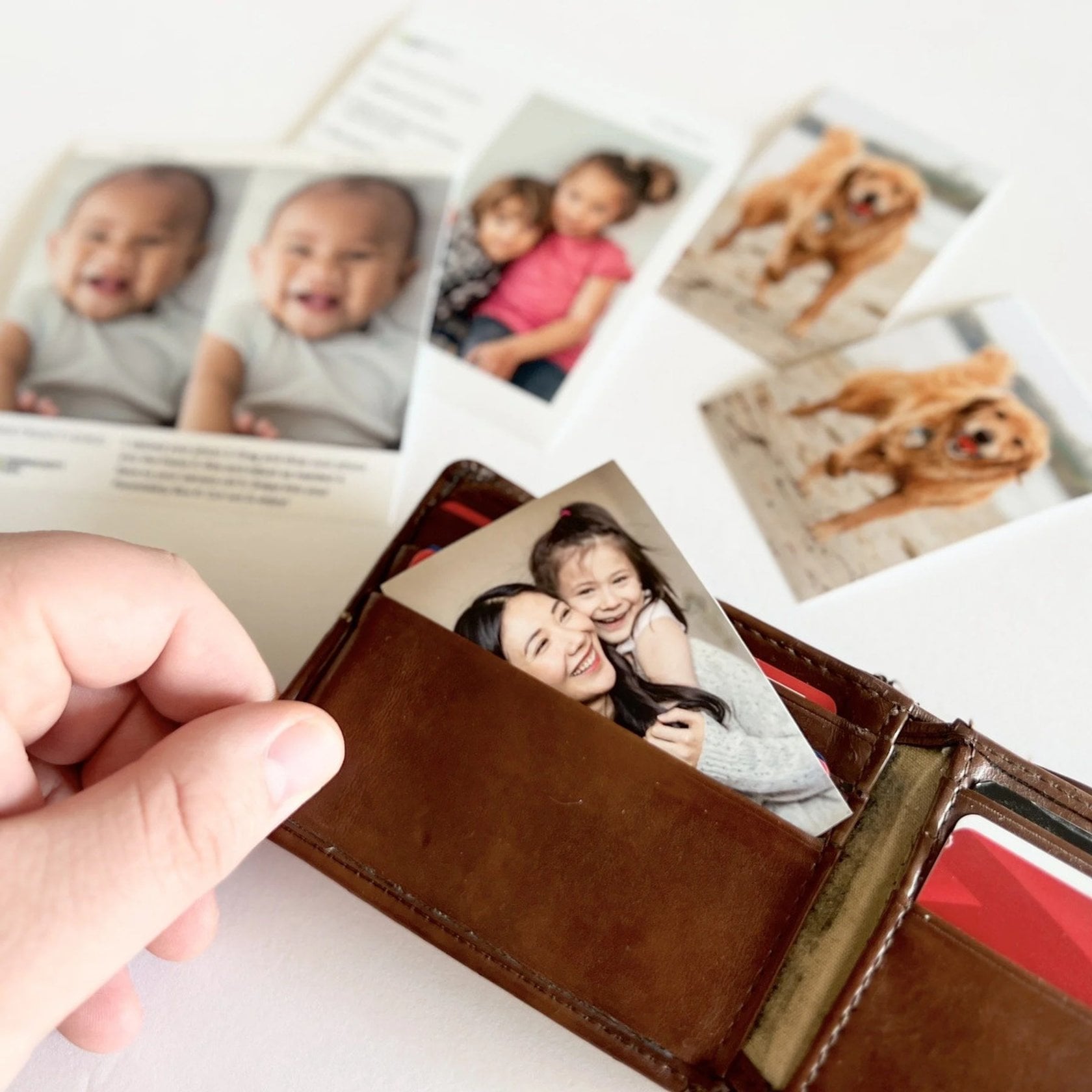 Wallet Size Photo Dimensions: Easy Size Breakdown | Skylum Blog