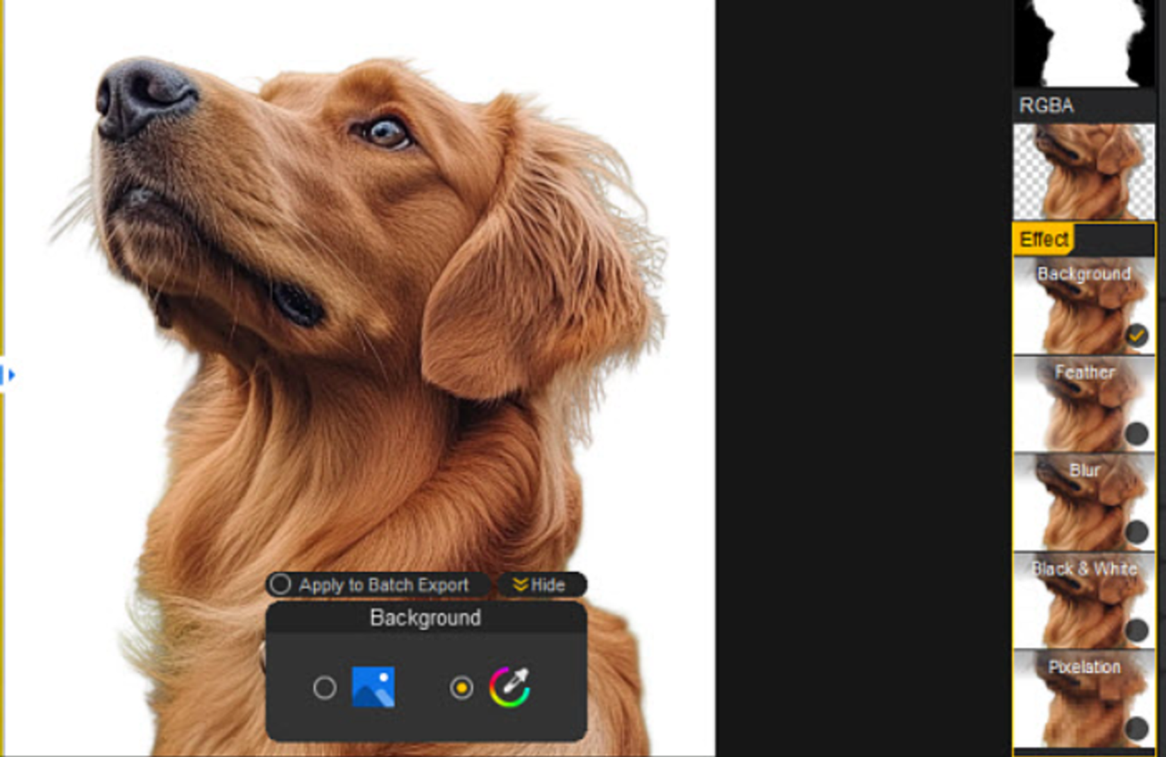 white background editor