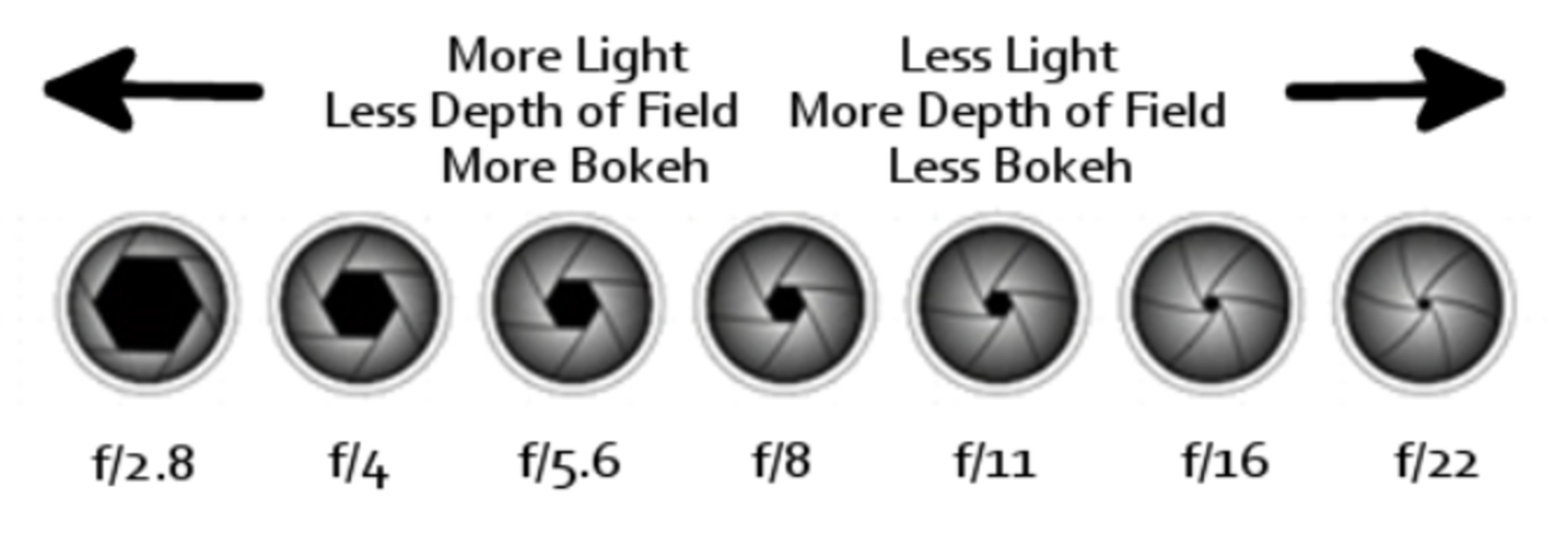 Aperture Definition For A Begginer Photographers | Skylum Blog