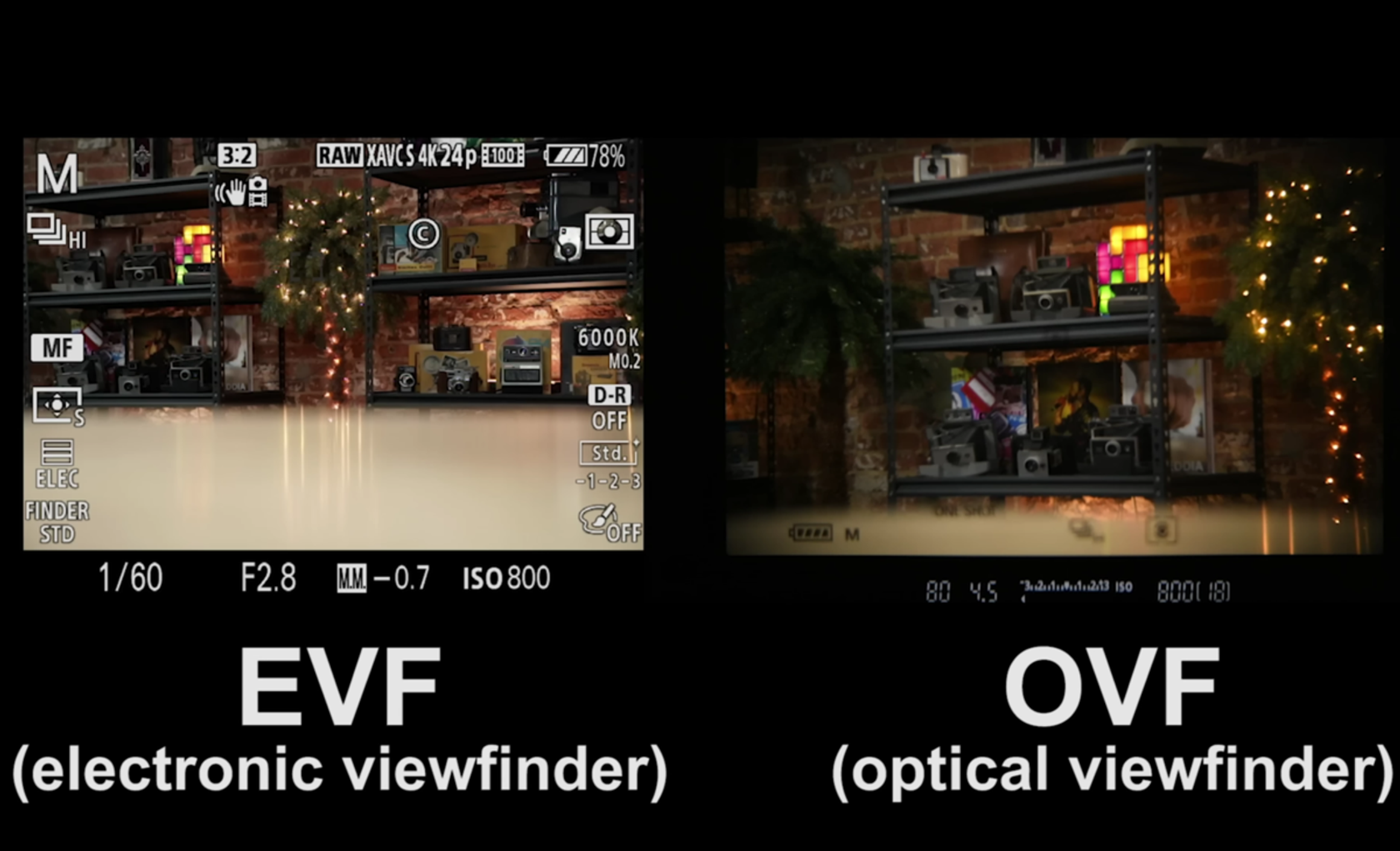 What Is Electronic Viewfinder On Camera Explained | Skylum Blog