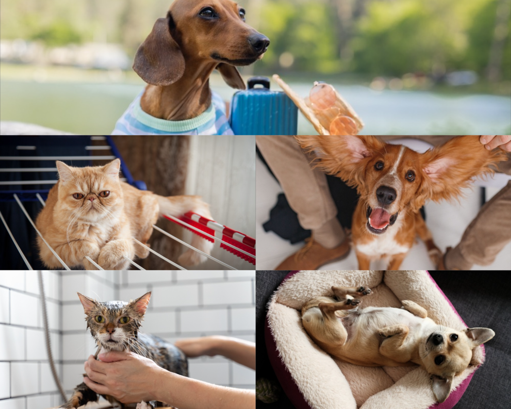 Photo Dump Definition: Guide For Social Media Fans | Skylum Blog