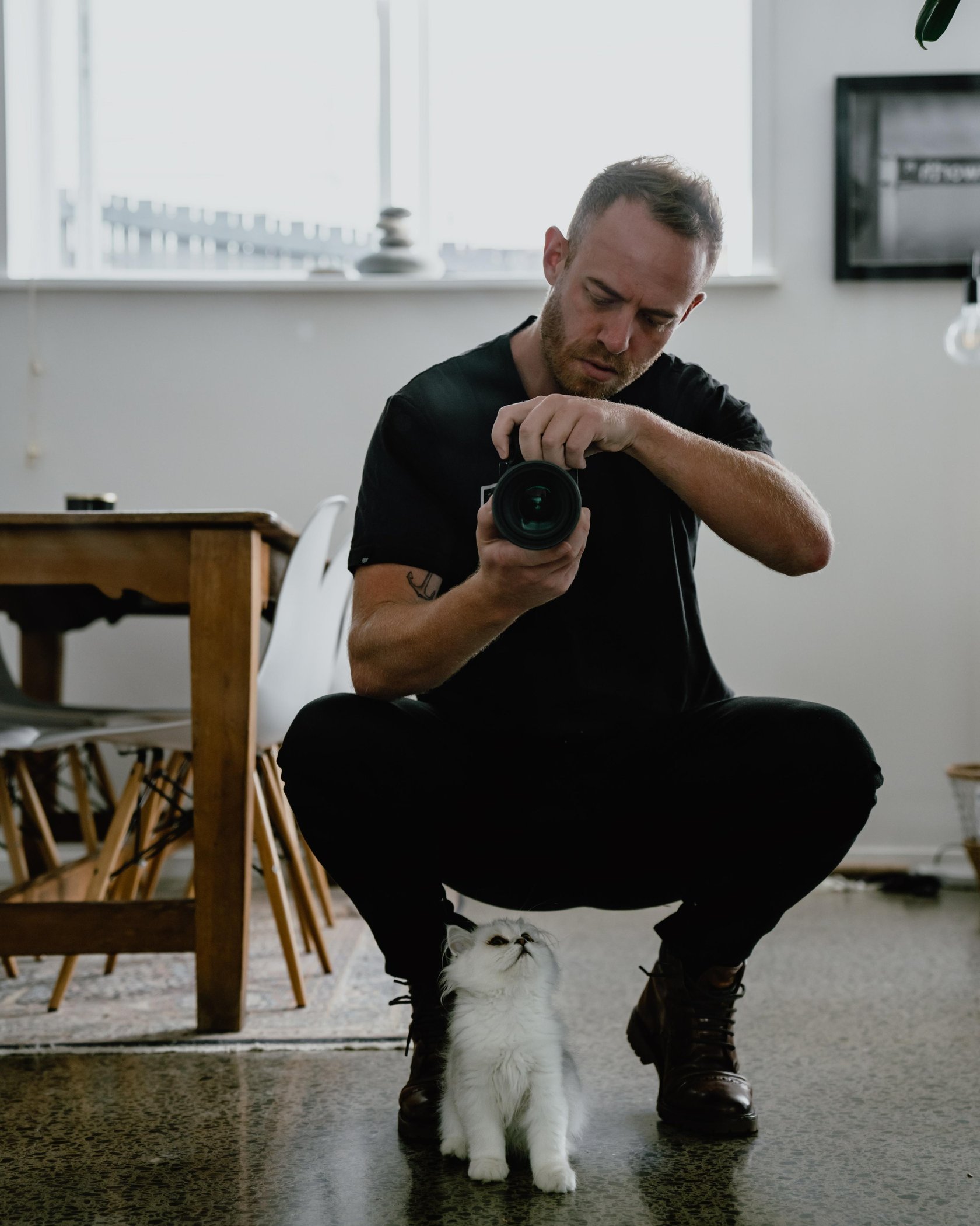 Best Cat Photography Ideas: How to Take the Cutest Picture | Skylum Blog