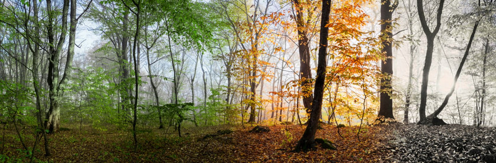 Panorama Photography: Getting The Best Wide Shots | Skylum Blog