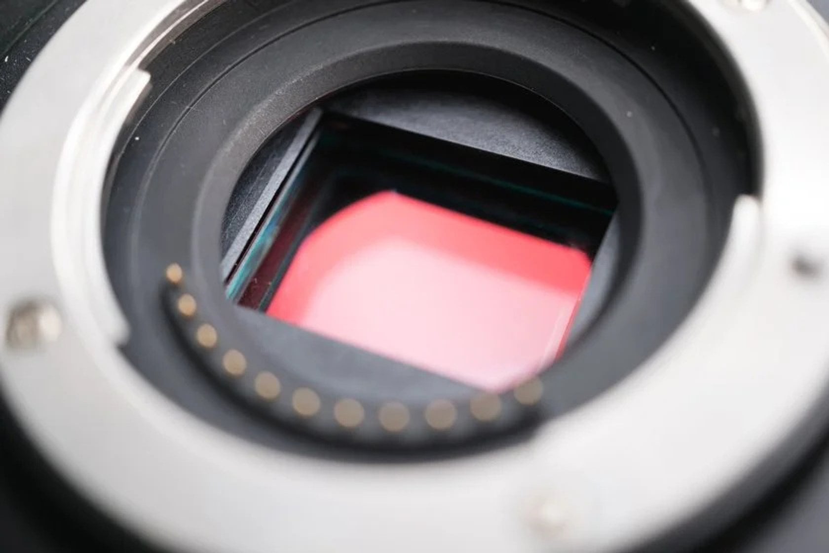 Micro Four Thirds vs Full Frame: Dueling Formats | Skylum Blog