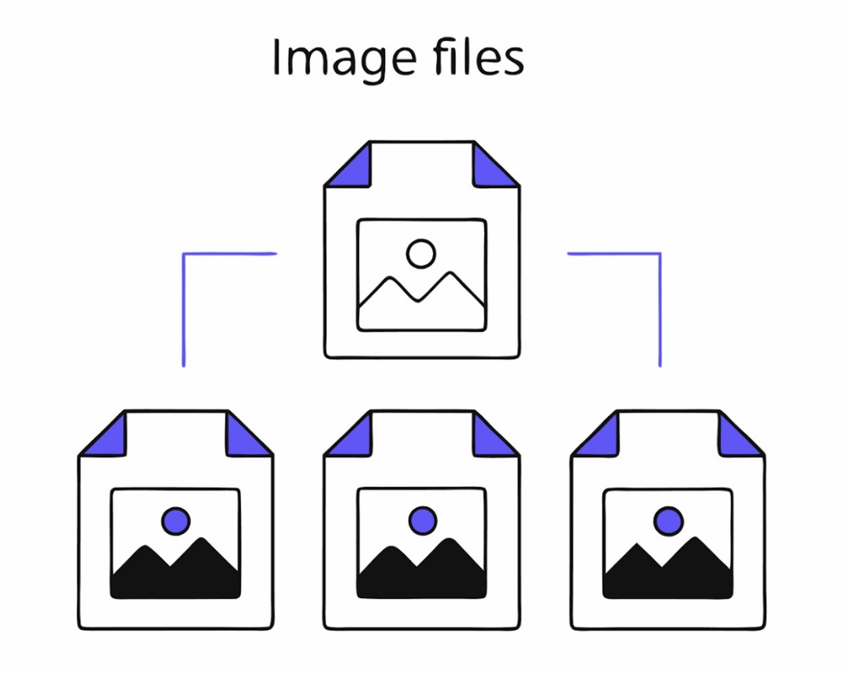 JPG Files: What They Are and How to Open I Skylum Blog