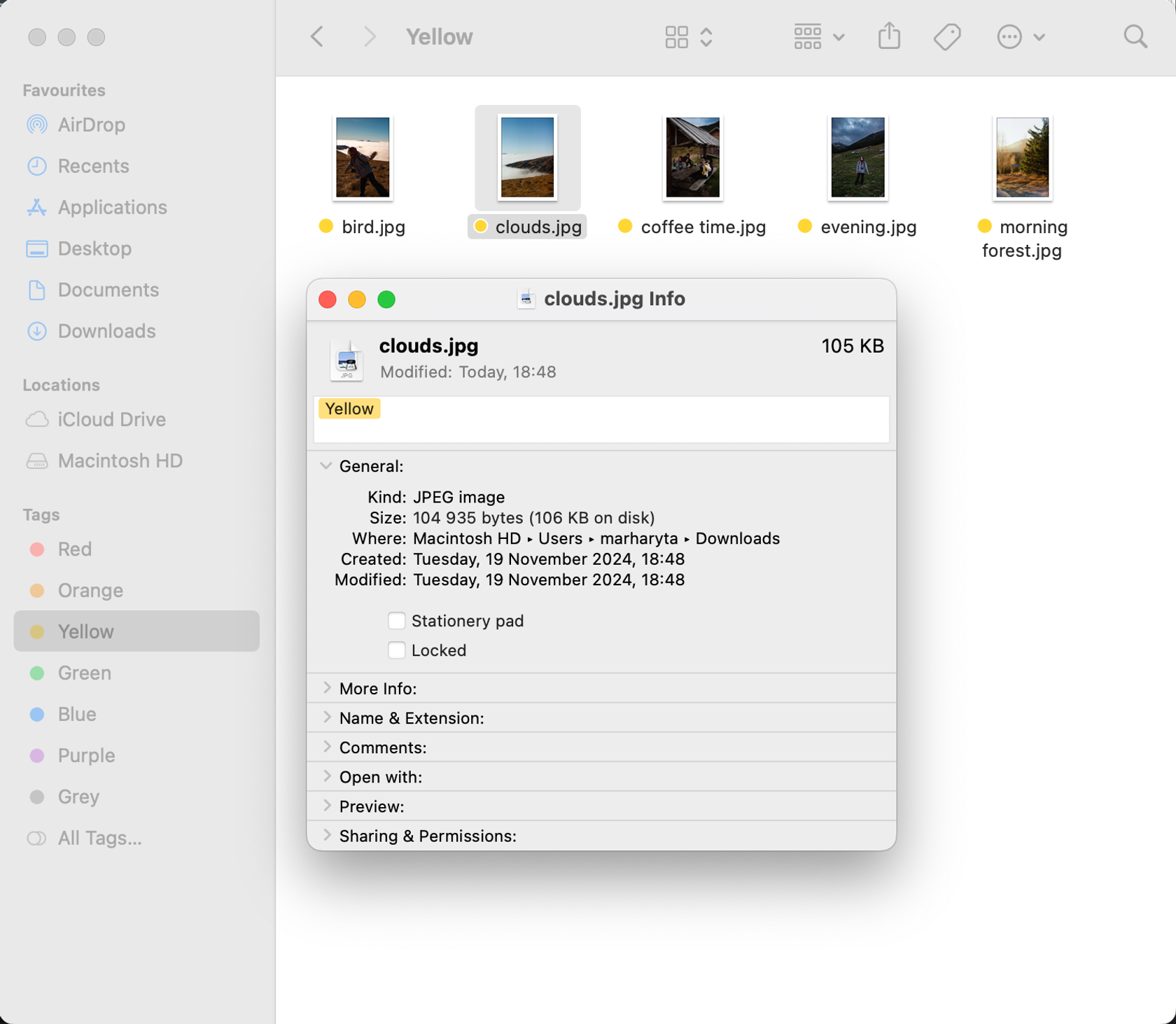 How To Check Dimensions Of An Image On All Devices I Skylum Blog