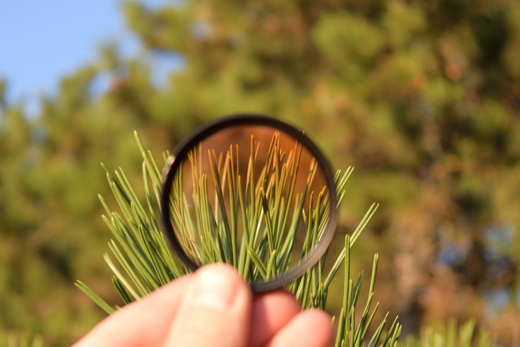 How To Take Dreamy Photos: Step-By-Step Guide | Skylum Blog