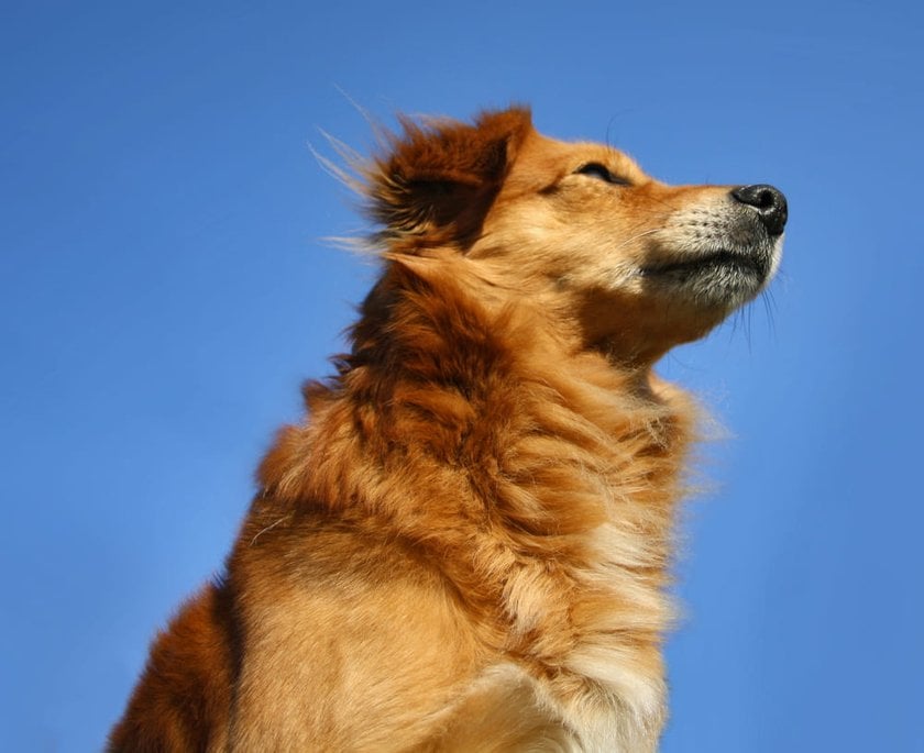 Angle In Photography: The Magic Of Perspective In Photography