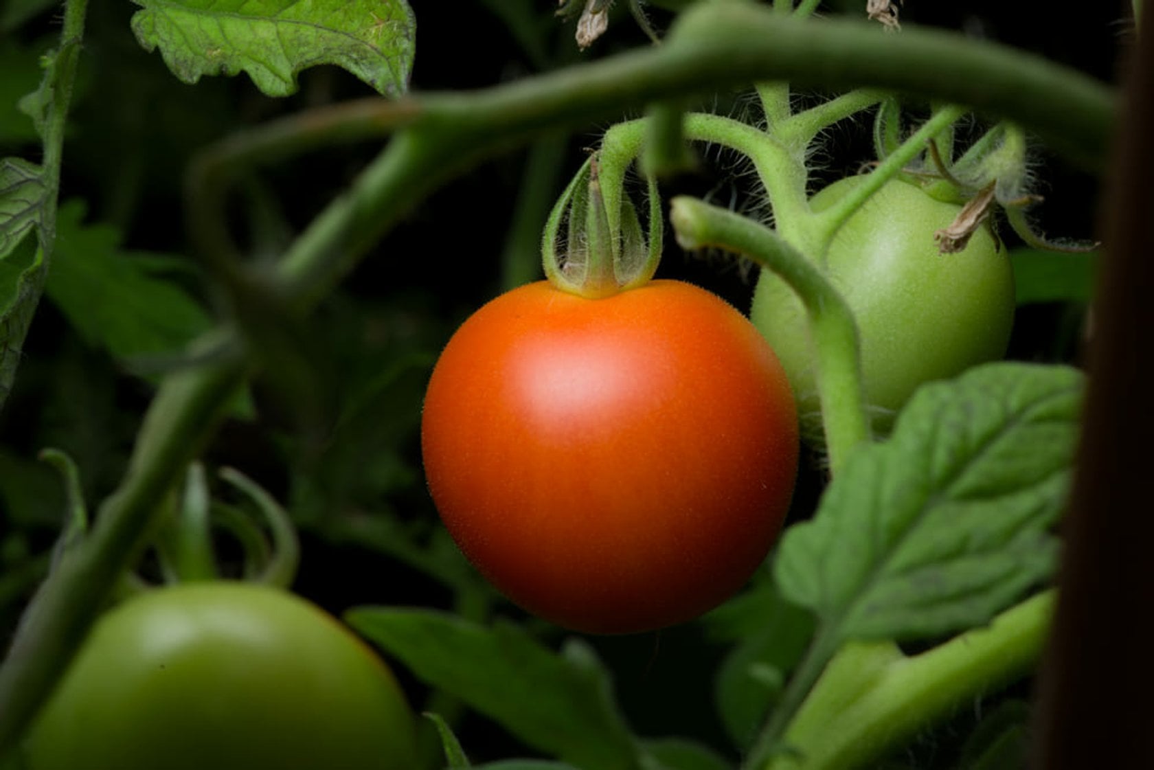 Angles Of Photography: Types And Functional Uses | Skylum Blog