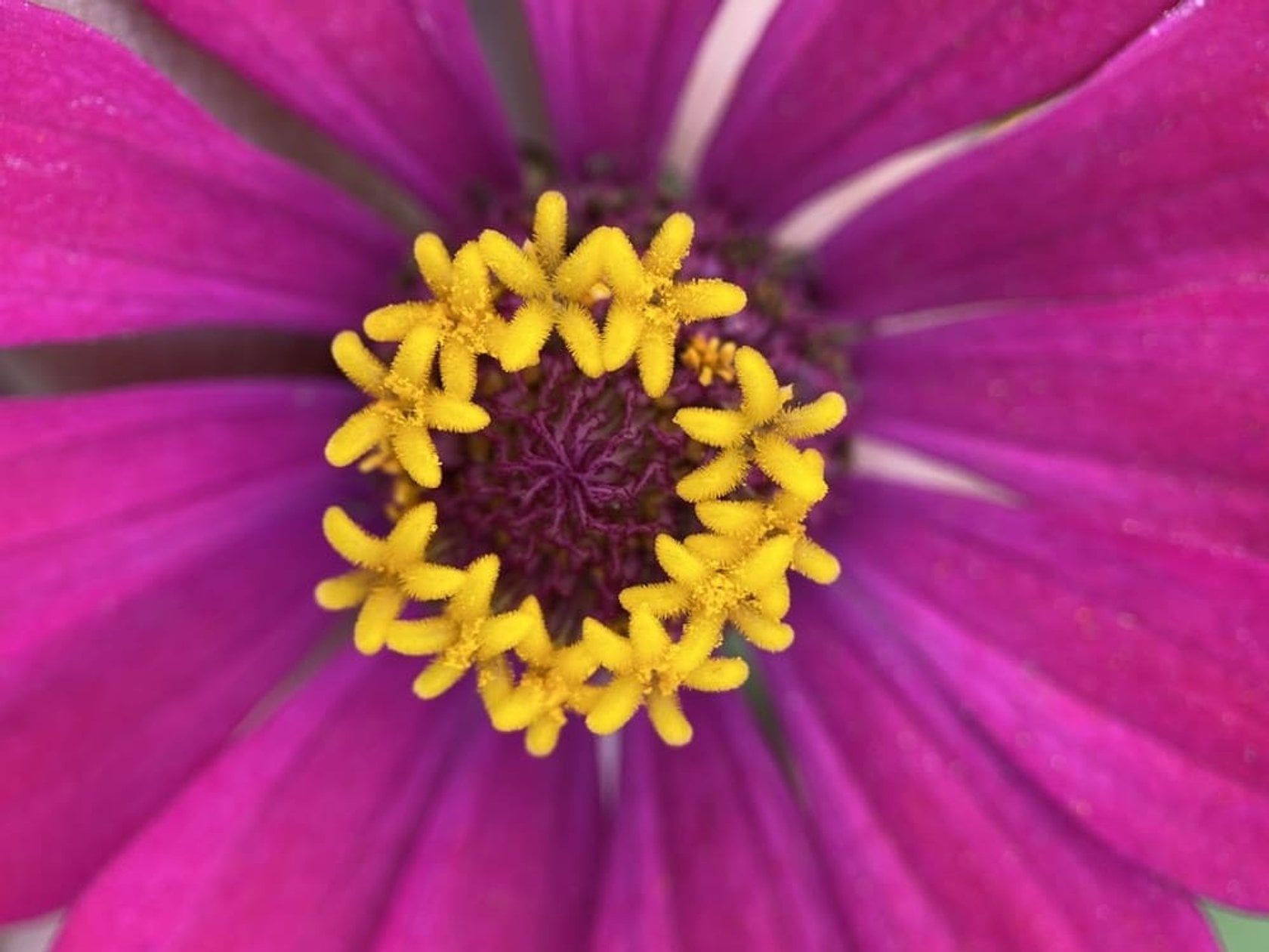 Angles Of Photography: Types And Functional Uses | Skylum Blog