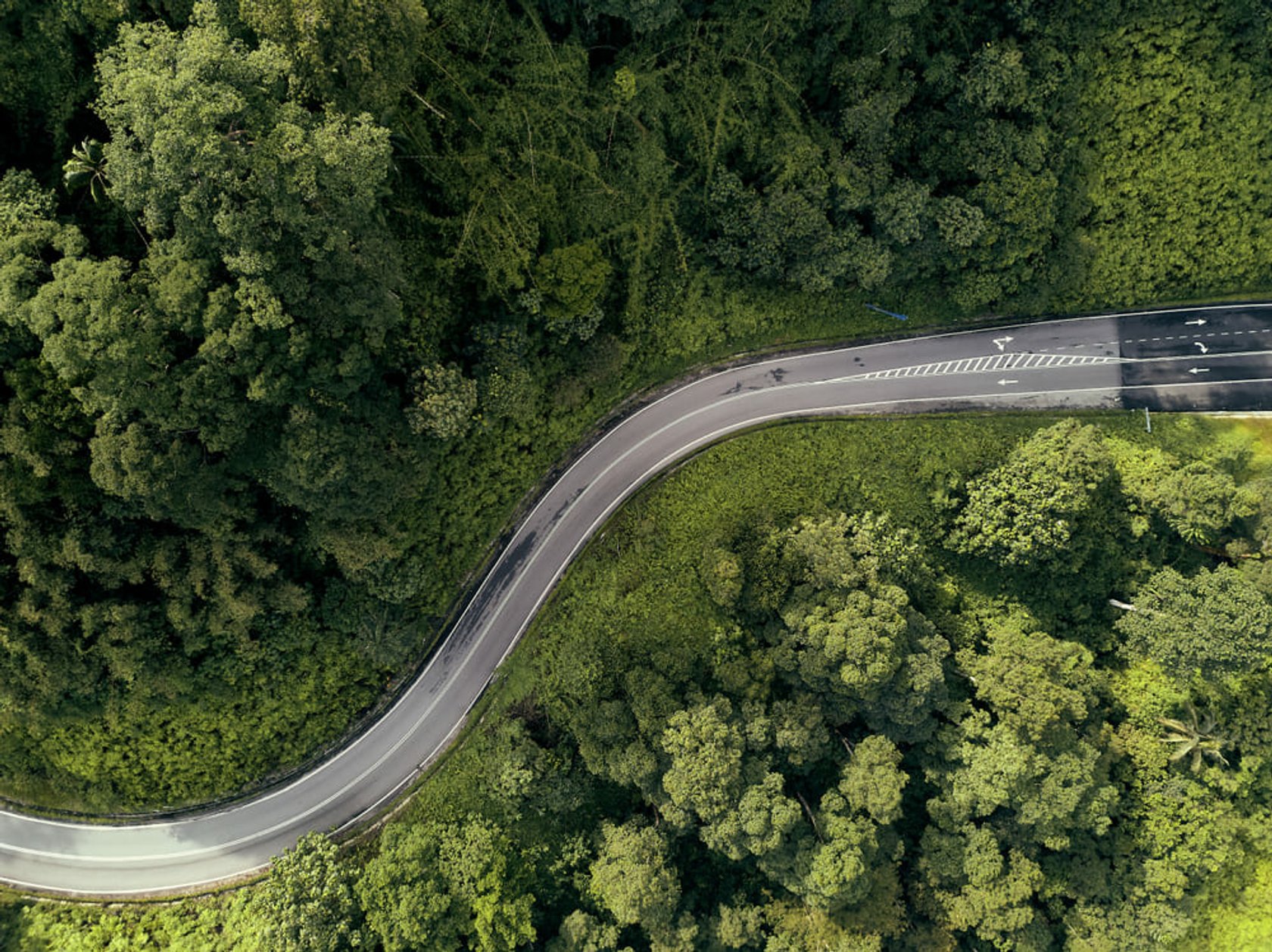 Curved Lines In Photography: Shape And Movement | Skylum Blog