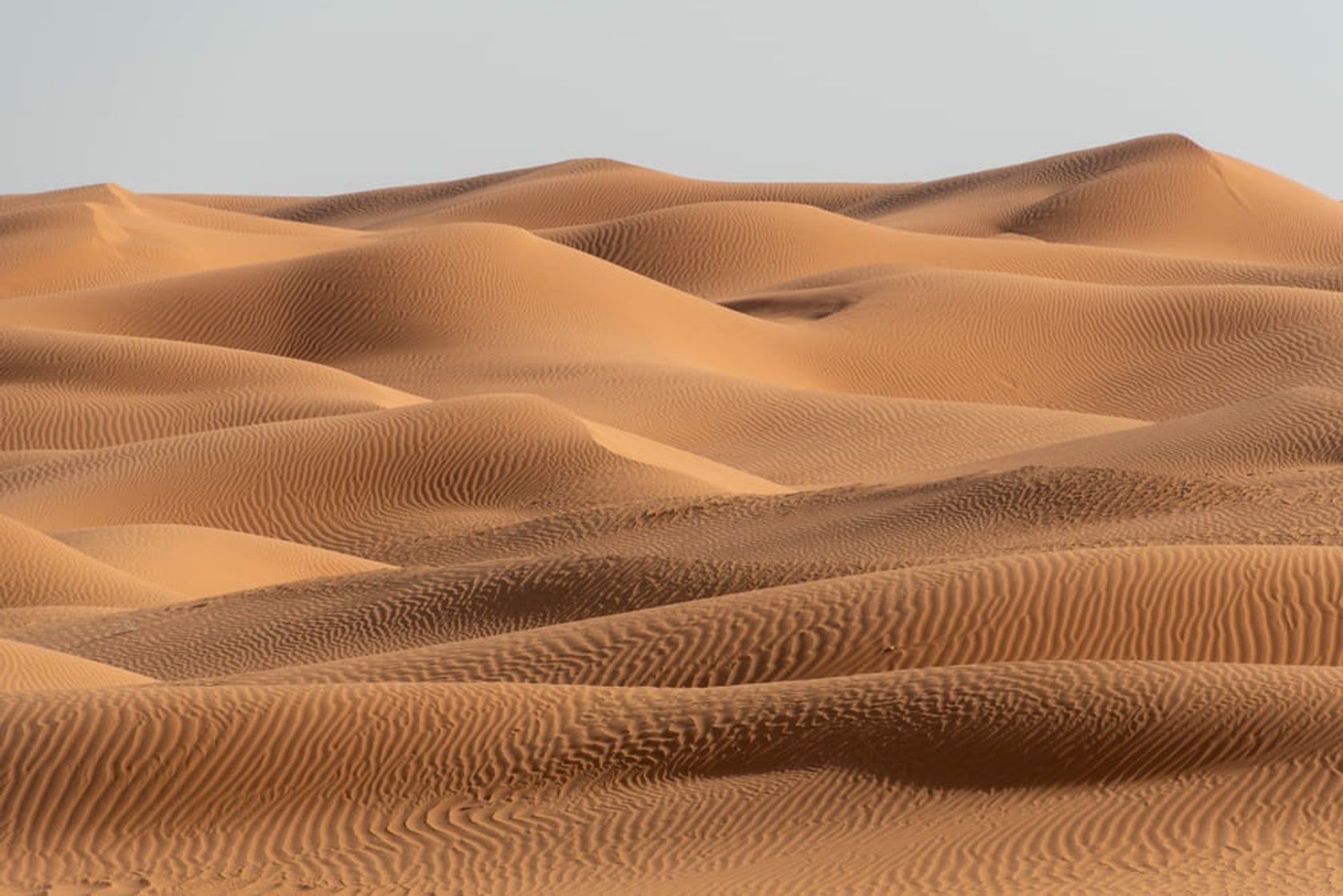 Curved Lines In Photography: Shape And Movement | Skylum Blog