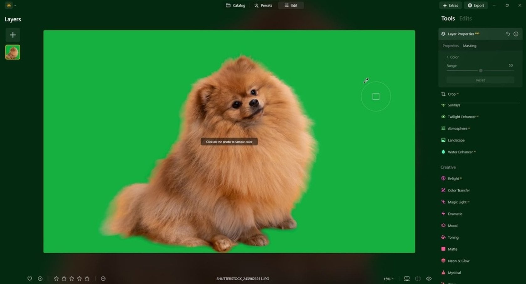 Green Screen Photography: Step-By-Step Photo Guide | Skylum Blog