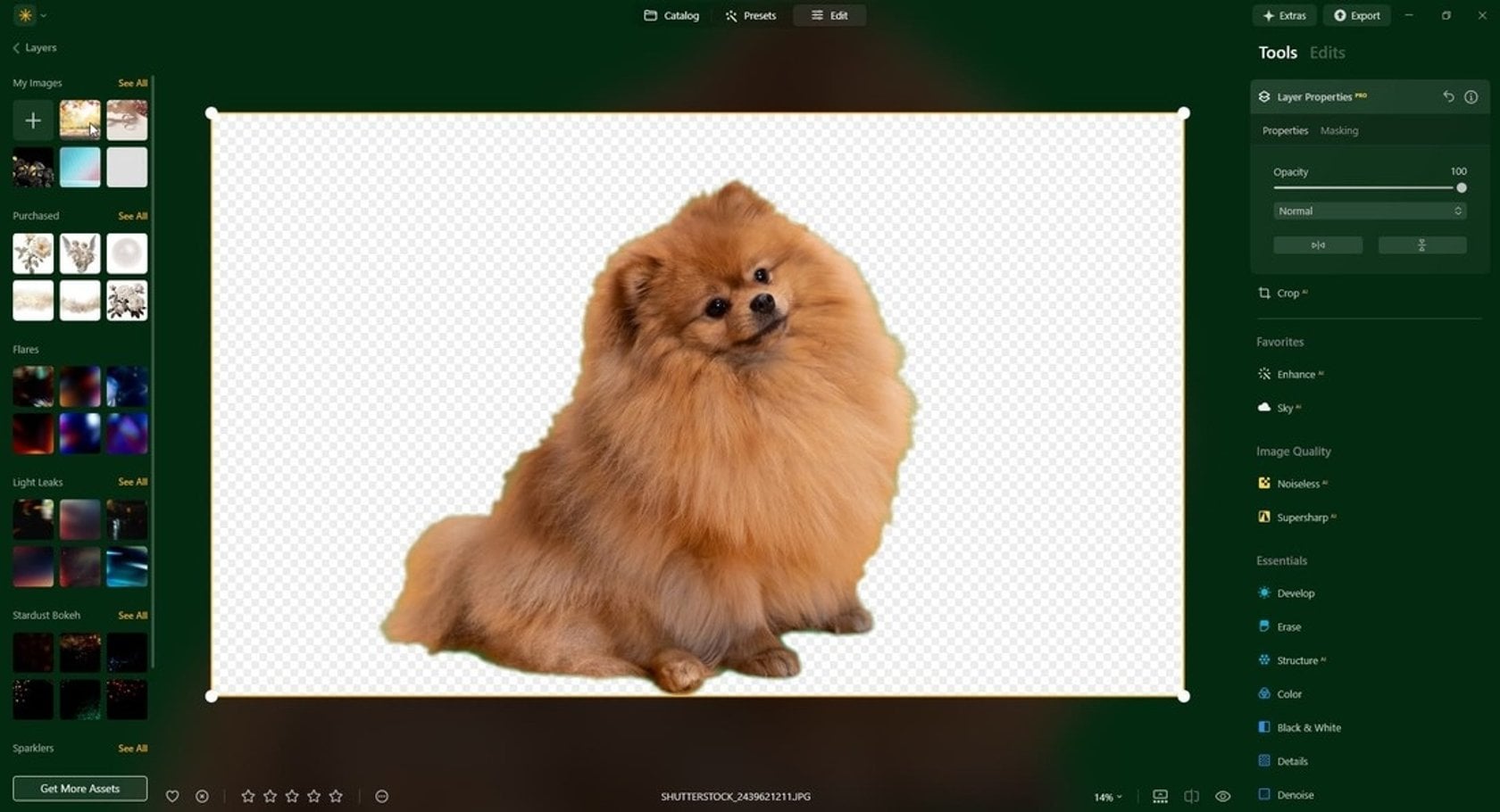 Green Screen Photography: Step-By-Step Photo Guide | Skylum Blog