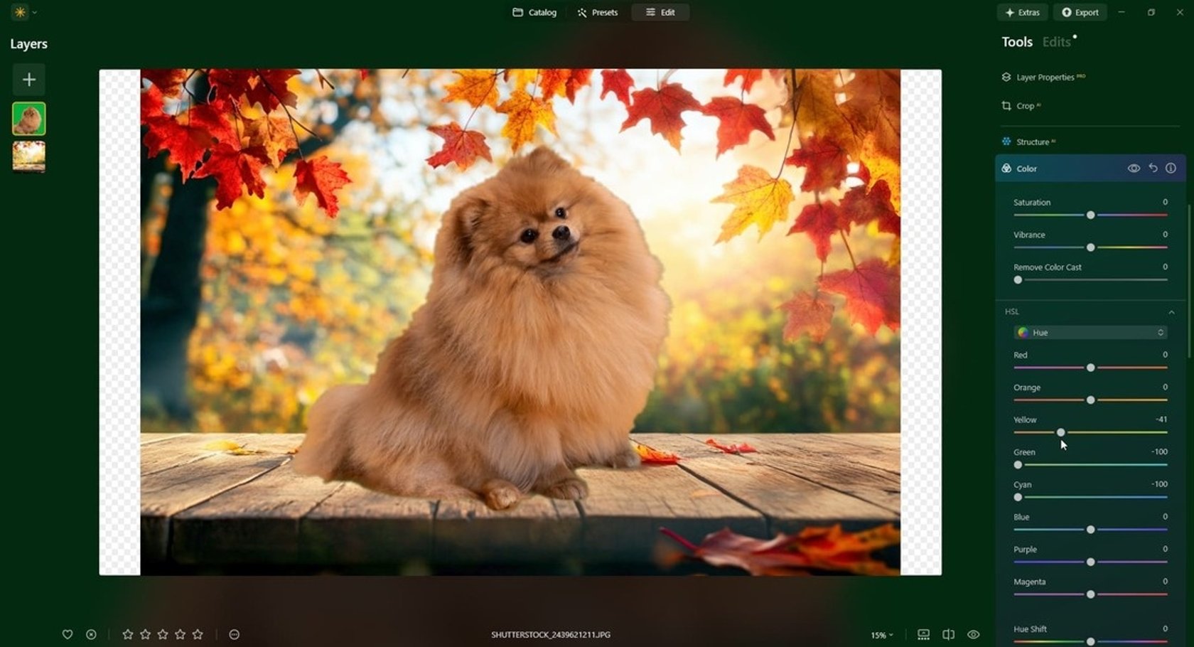 Green Screen Photography: Step-By-Step Photo Guide | Skylum Blog