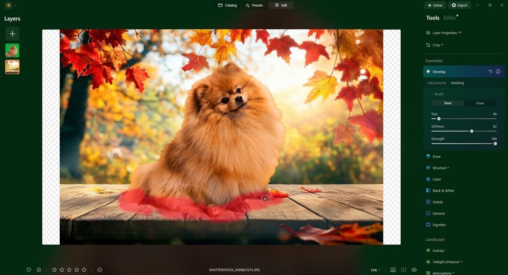 Green Screen Photography: Step-By-Step Photo Guide | Skylum Blog