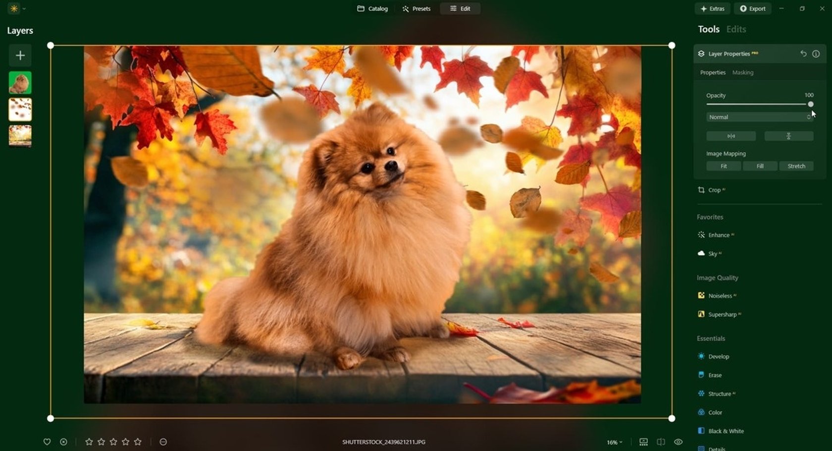 Green Screen Photography: Step-By-Step Photo Guide | Skylum Blog