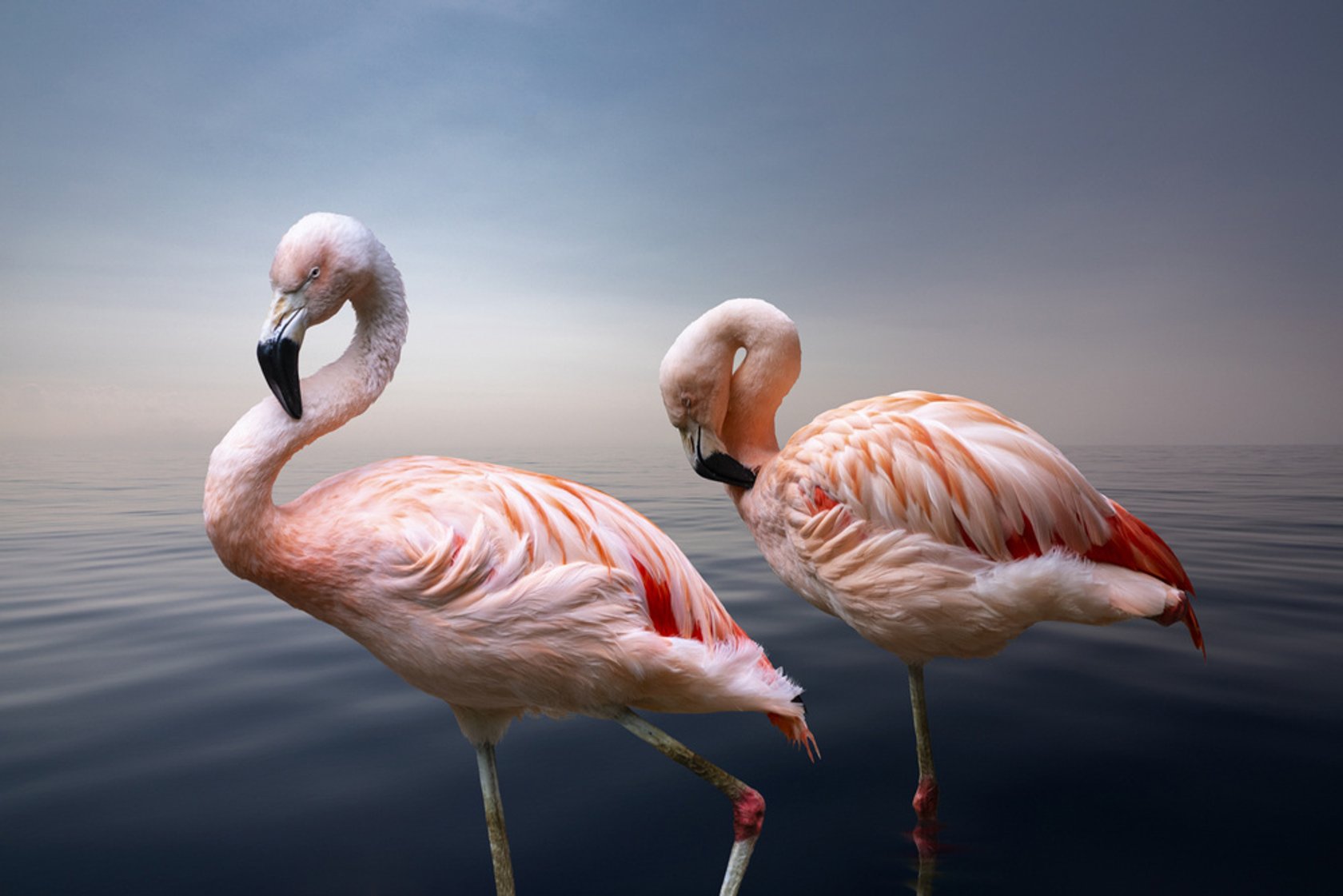 Why Are My Photos Blurry: Tips To Avoid Blurry Photos