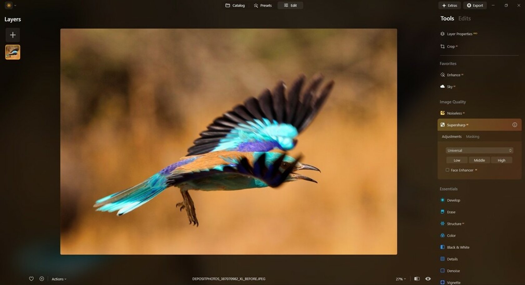 How to Make a Blurry Picture Clear | Skylum Blog