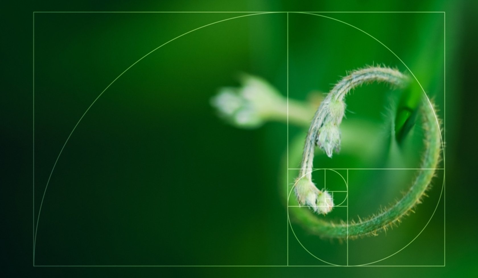 Rule of Thirds In Photography: How to Improve Your Photos