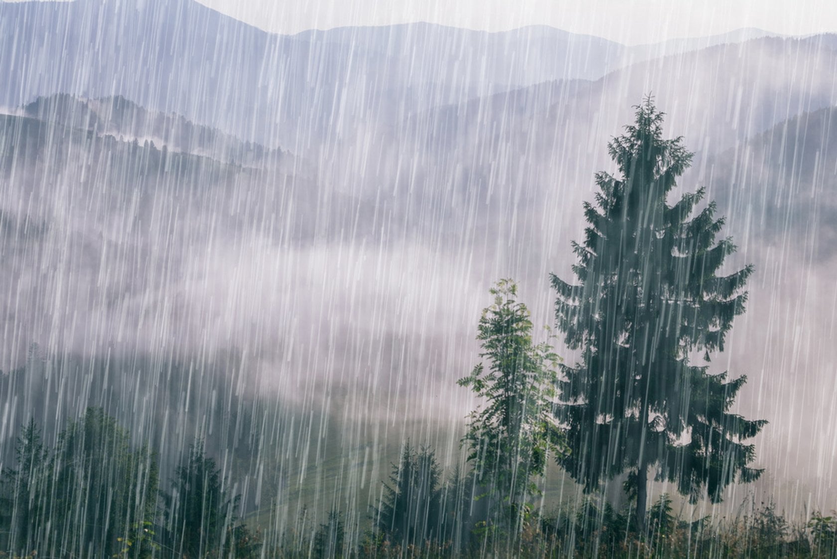 How To Photograph Landscapes In The Rain | Skylum Blog