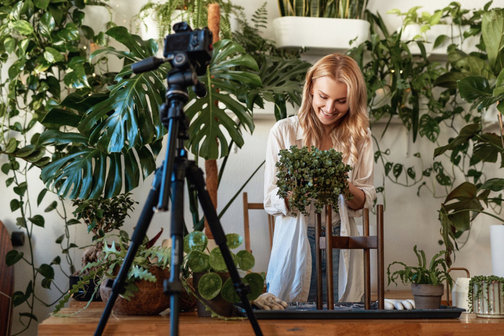 How To Photograph Plants: Photographer’s Handbook | Skylum Blog