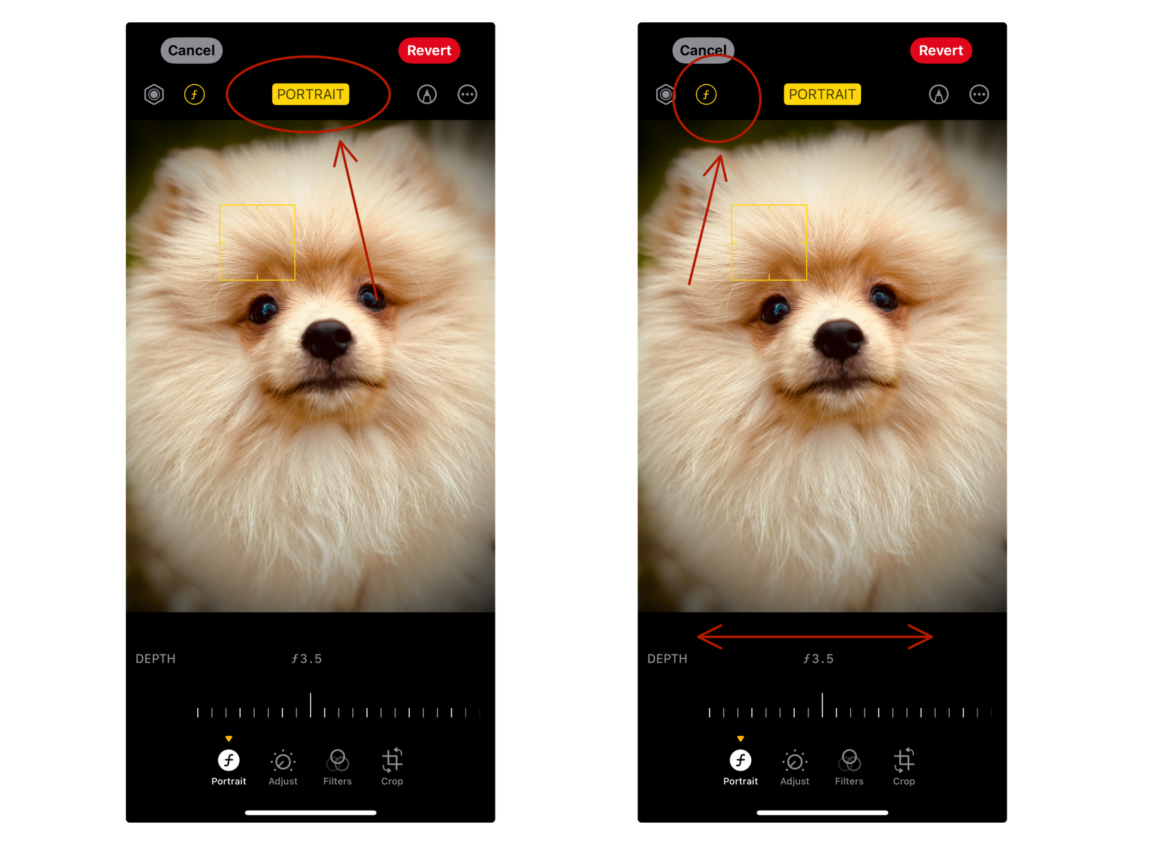 How To Take Portrait Photos With іPhone: Pro Tips | Skylum Blog
