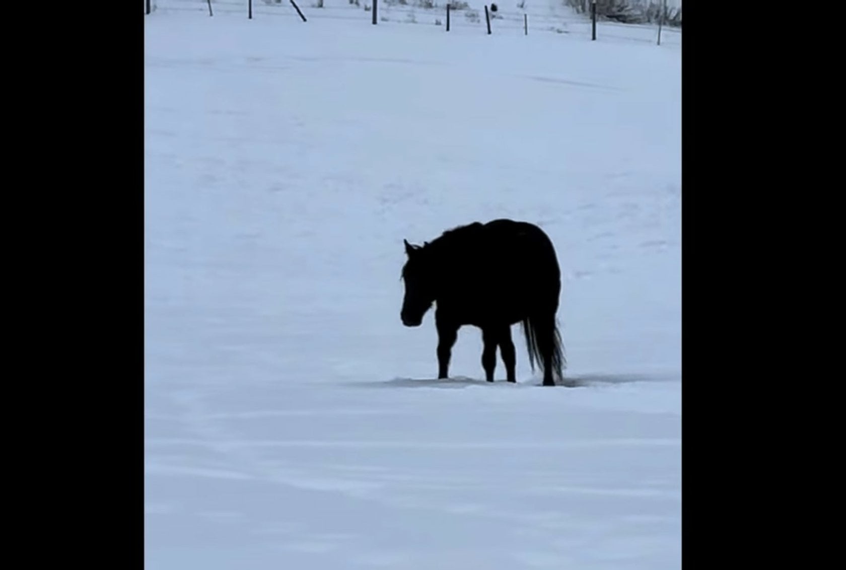 Optical Illusion Examples: Deconstructing Visual Perception | Skylum Blog