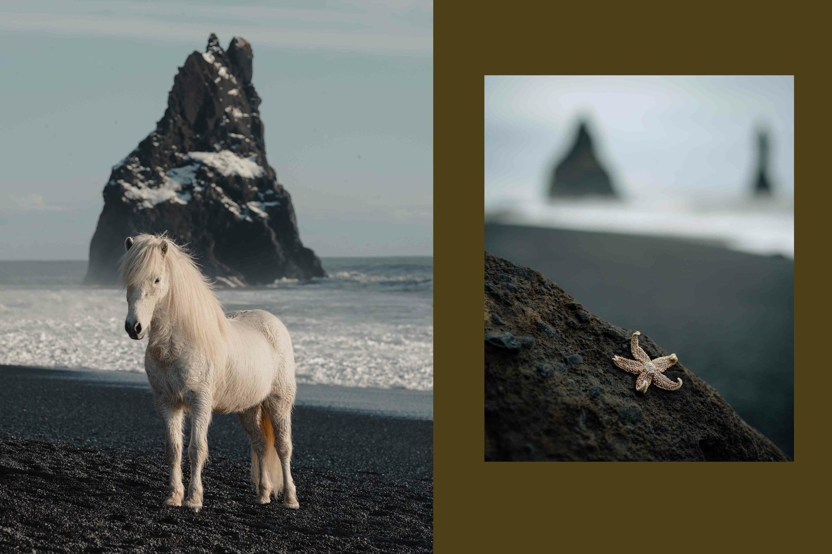 4x6 Picture Size: Everything You Need To Know | Skylum Blog