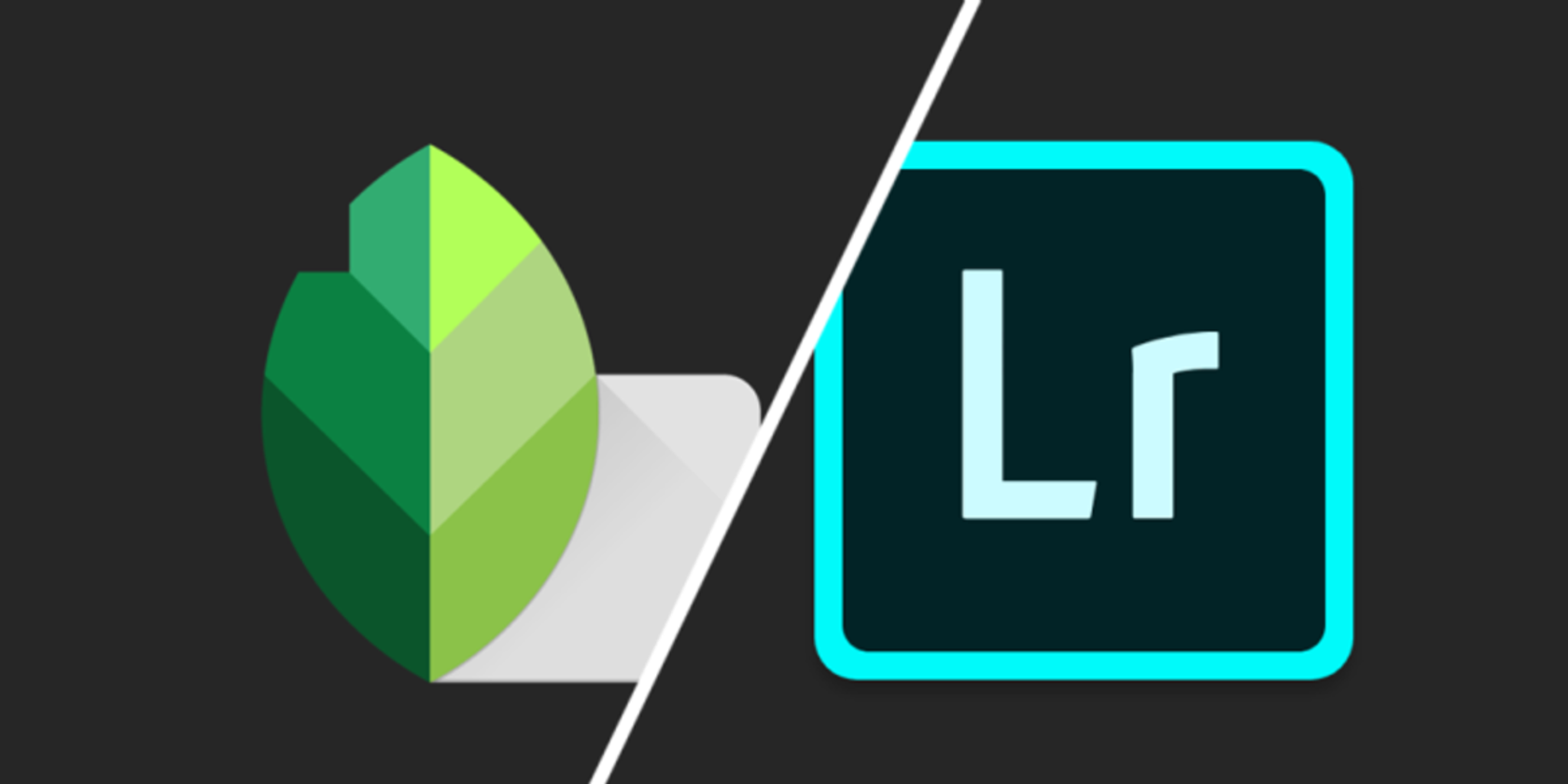 Snapseed Vs Lightroom: Better Choice For Editing | Skylum Blog