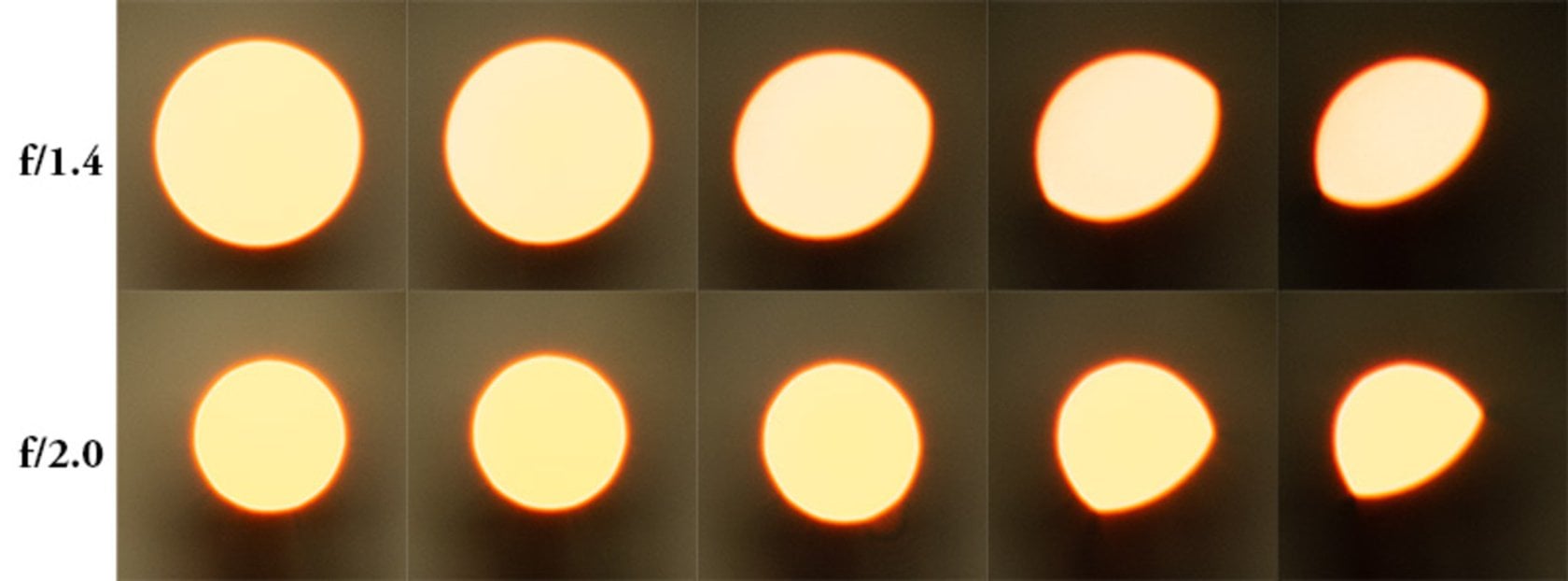 What Is Vignette Photography: Applying It Correctly | Skylum Blog