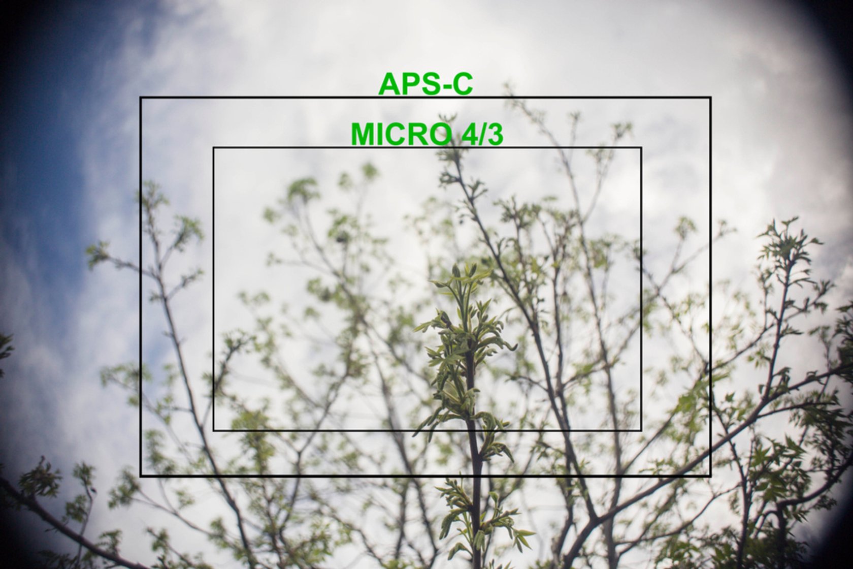 How to Reduce Noise in Photos: Tips to Avoid and Get Rid of Noise