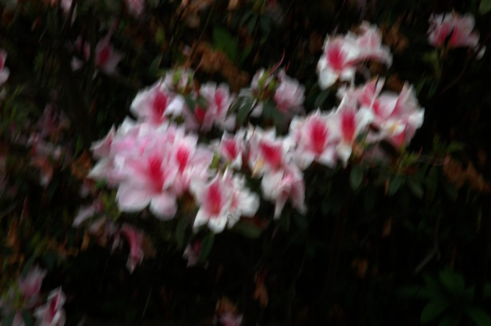 Image Sharpening Tool: Best Photo Sharpening Software