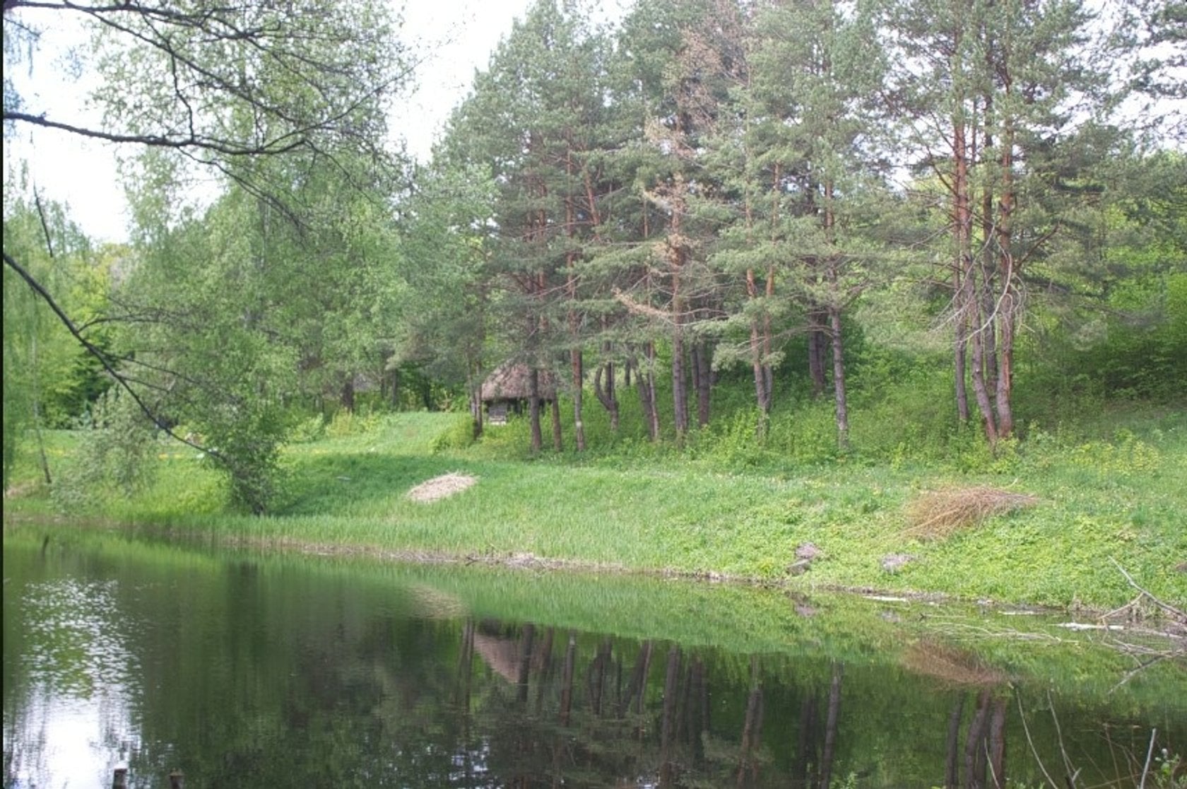 RAW Photo Editing Basics Explained | Skylum Blog