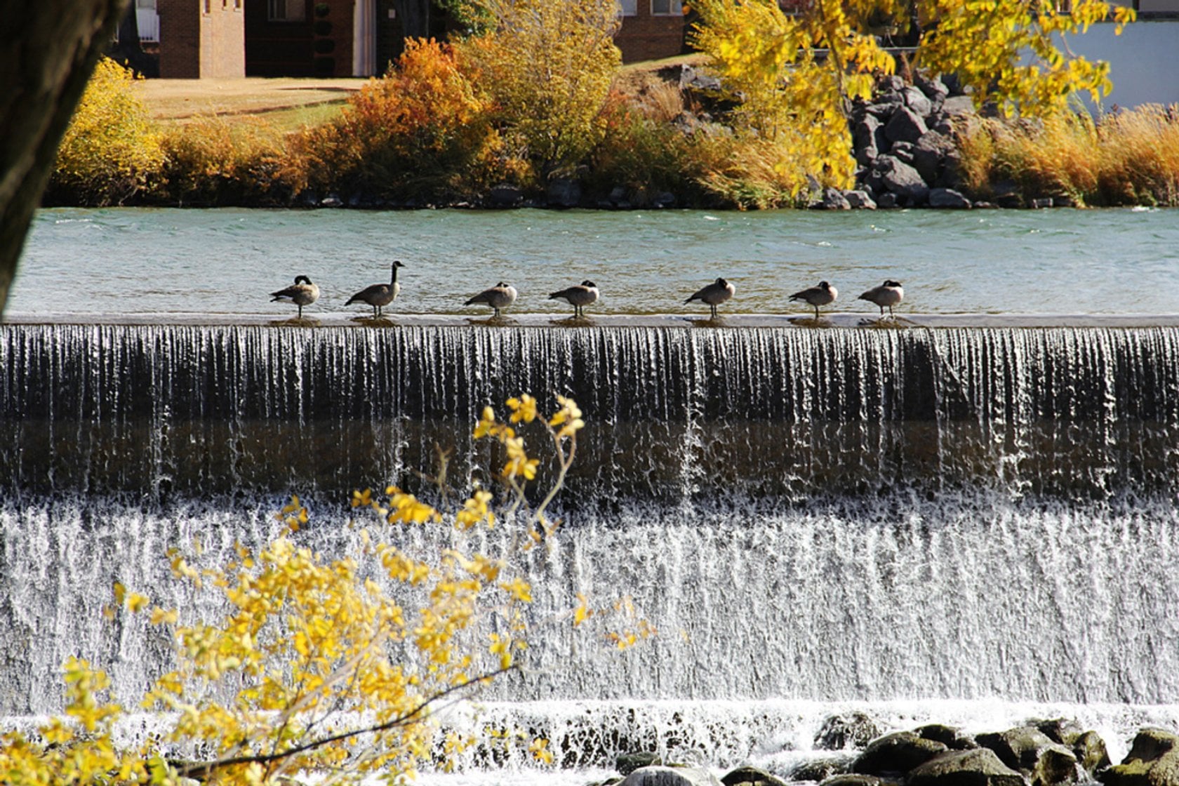 How to Use the Rule of Odds in Composition