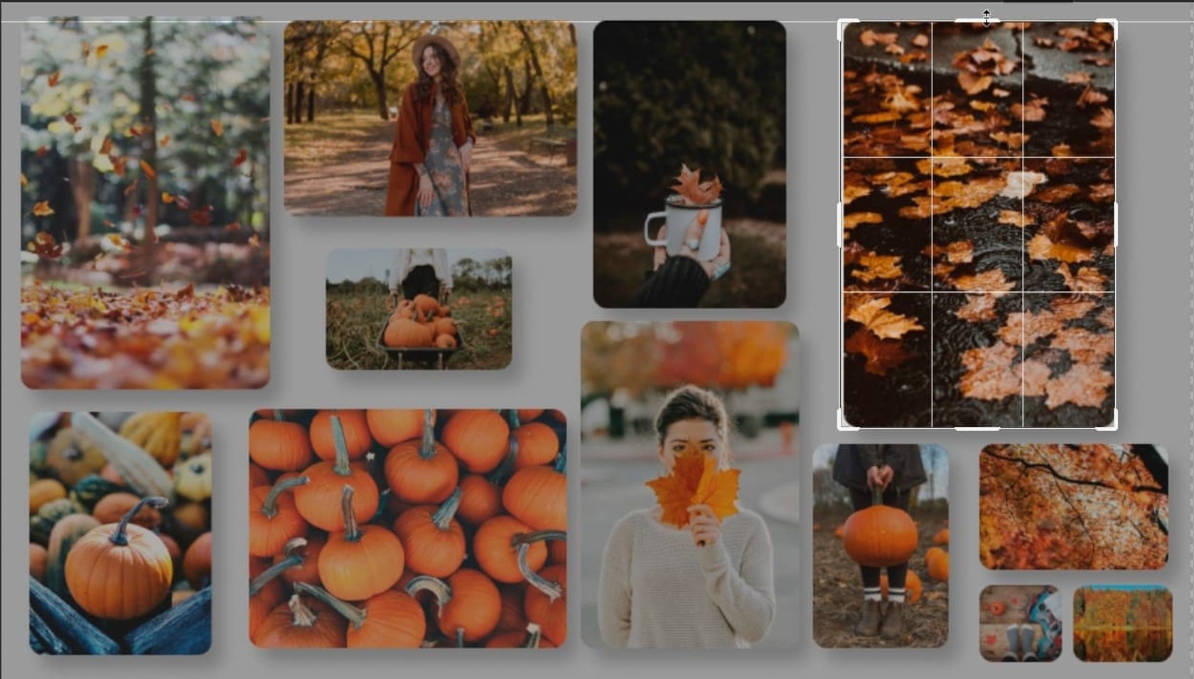 How To Create A Collage In Photoshop [Follow This Guide] | Skylum