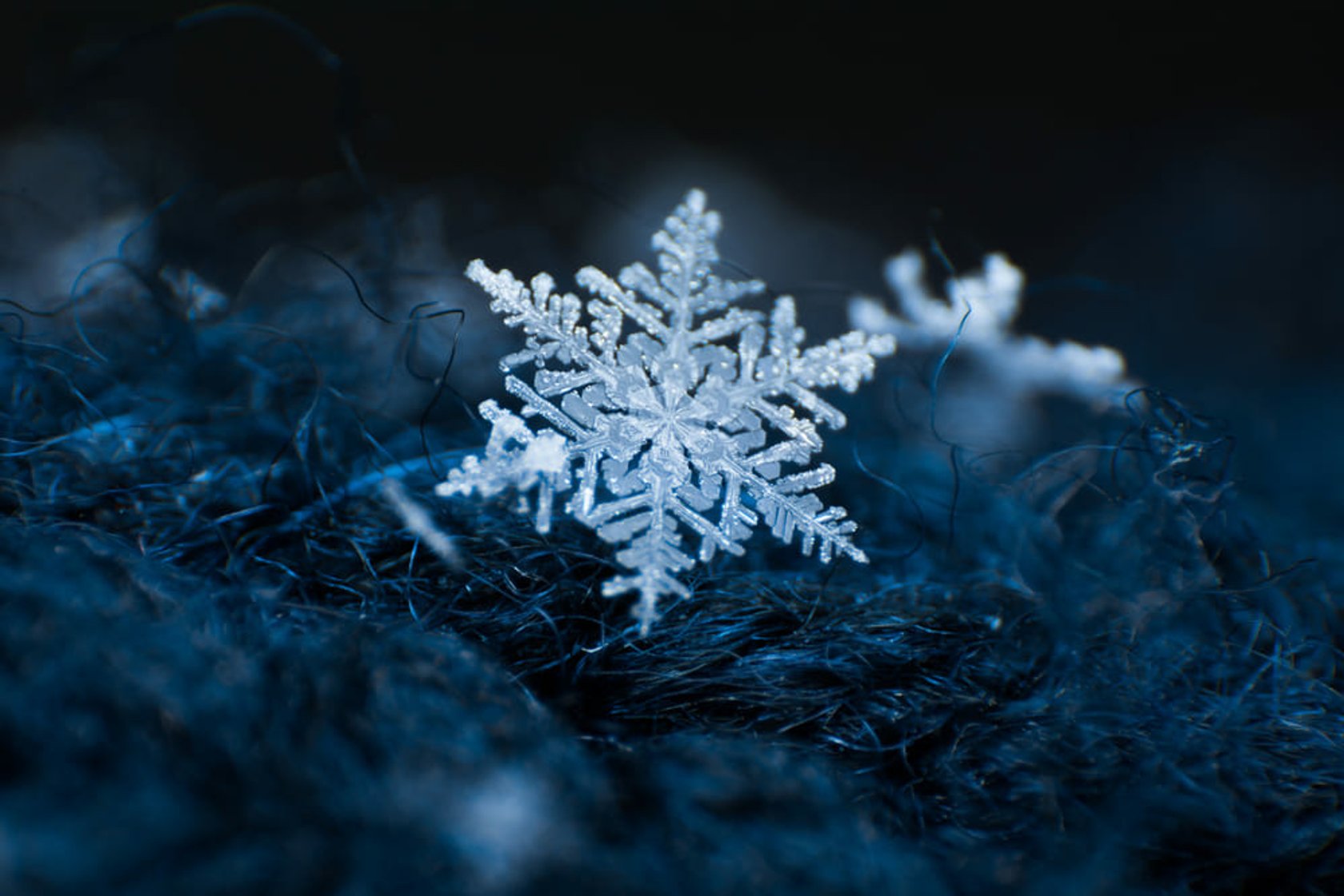 Snowflake Photography: How To Capture Like A Pro | Skylum How-to