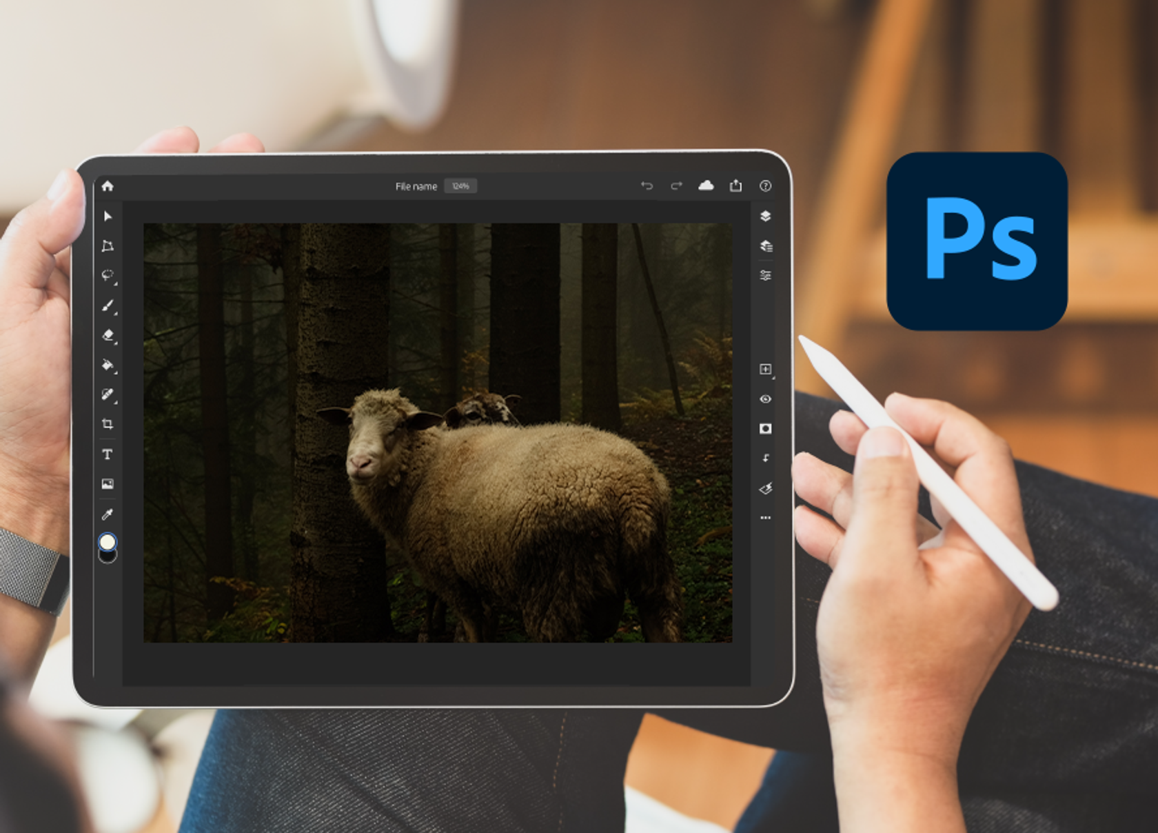 Photo Perfection on iPad: Background Removal I Skylum How-To