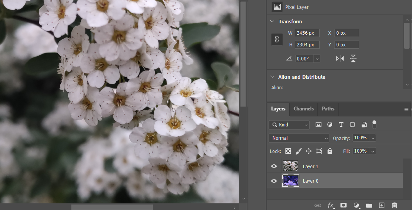 How To Change Layer Size In Photoshop: Easy Steps | Skylum How-to