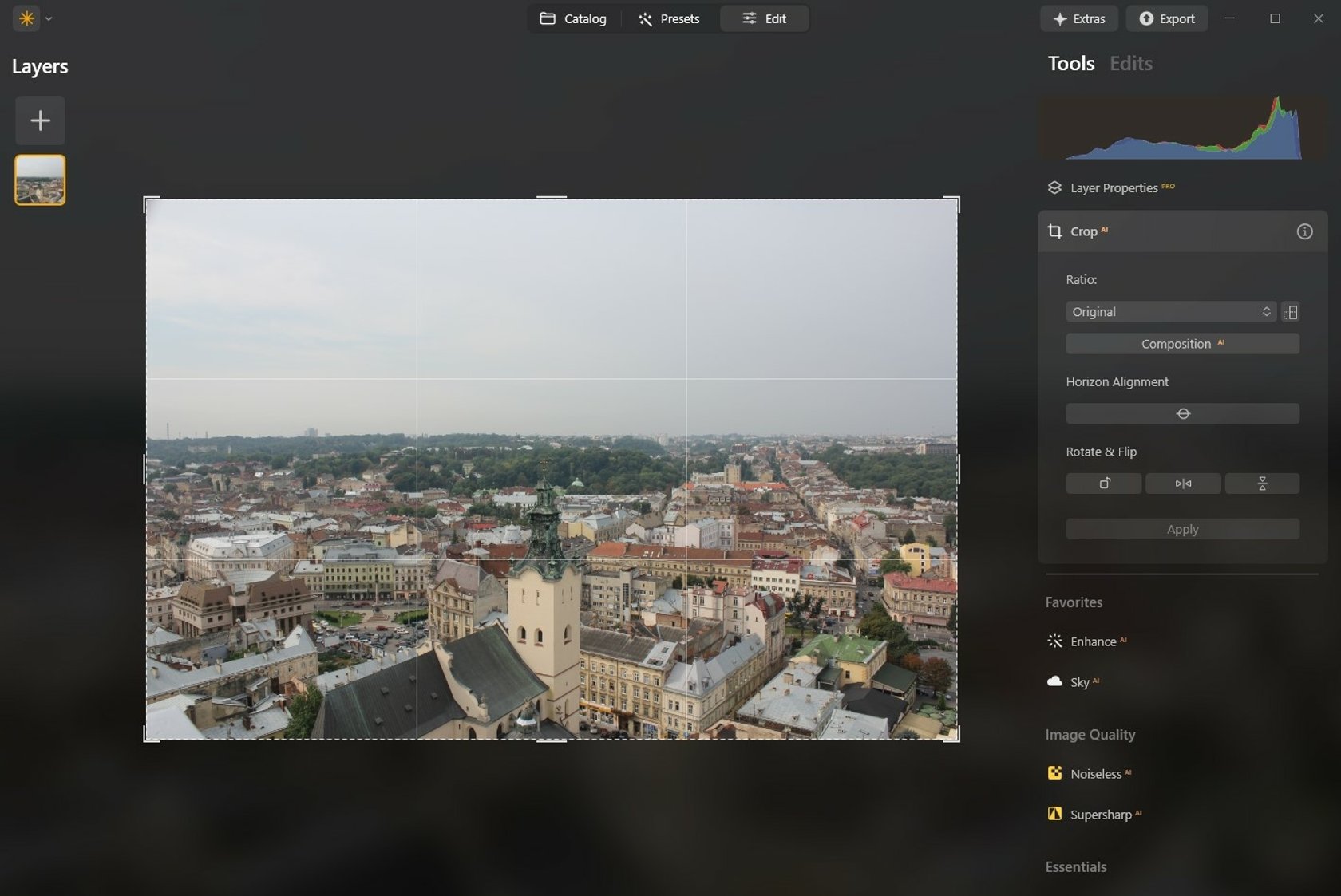 How To Put Grid On Picture: Helpful Tips & Steps | Skylum How-to