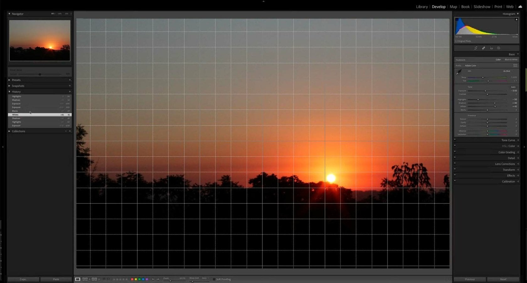 How To Put Grid On Picture: Helpful Tips & Steps | Skylum How-to