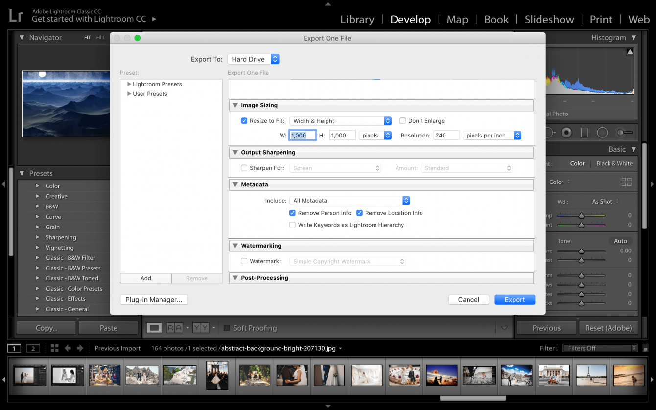 How To Make A Picture Smaller on your Windows PC or Mac | Skylum How-to