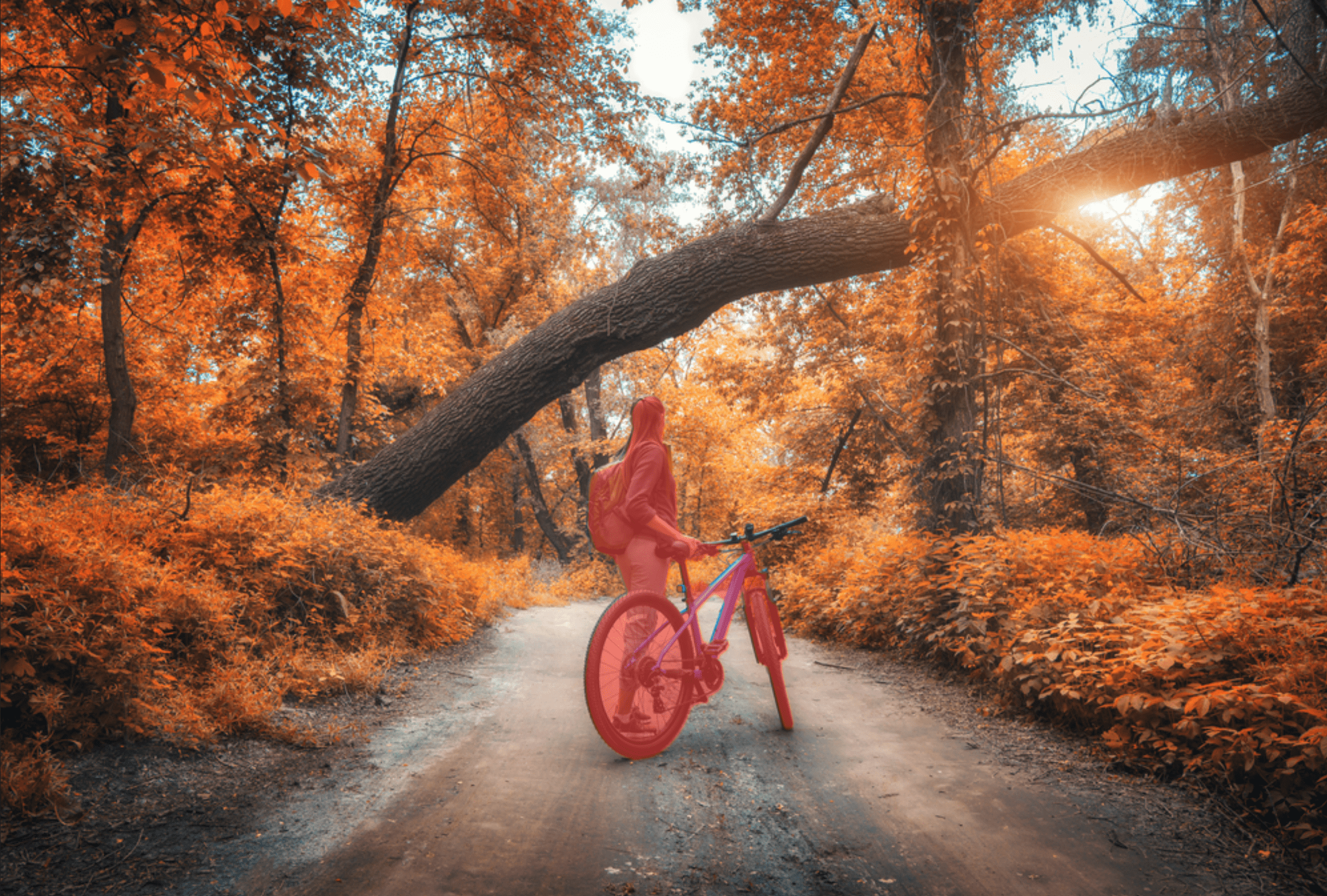 What Is Image Masking, And How Is It Used In Photo Editing?