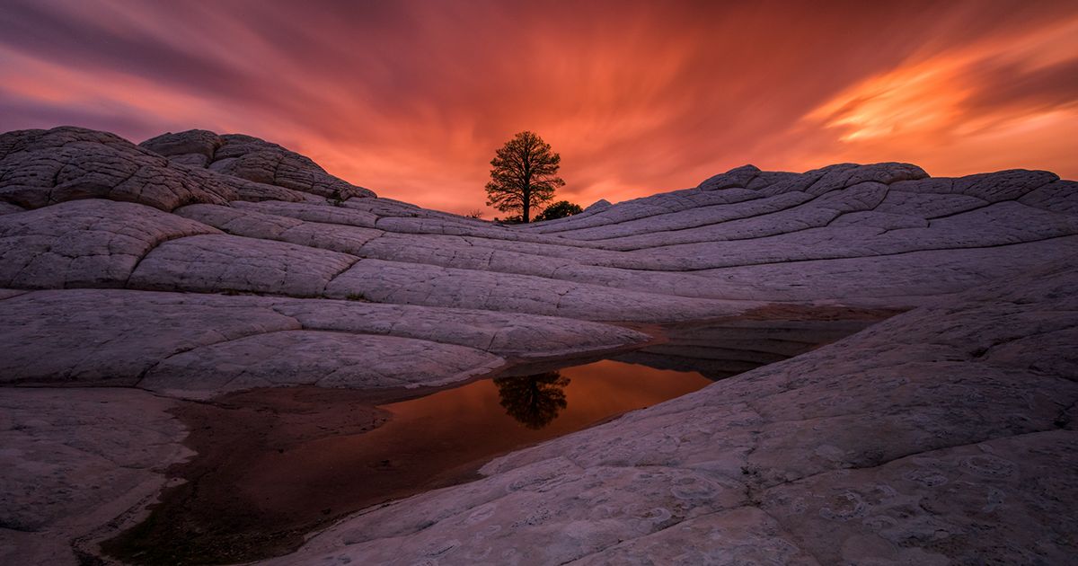 Celebrate the World Photo Day 2016 with Skylum | Skylum Blog