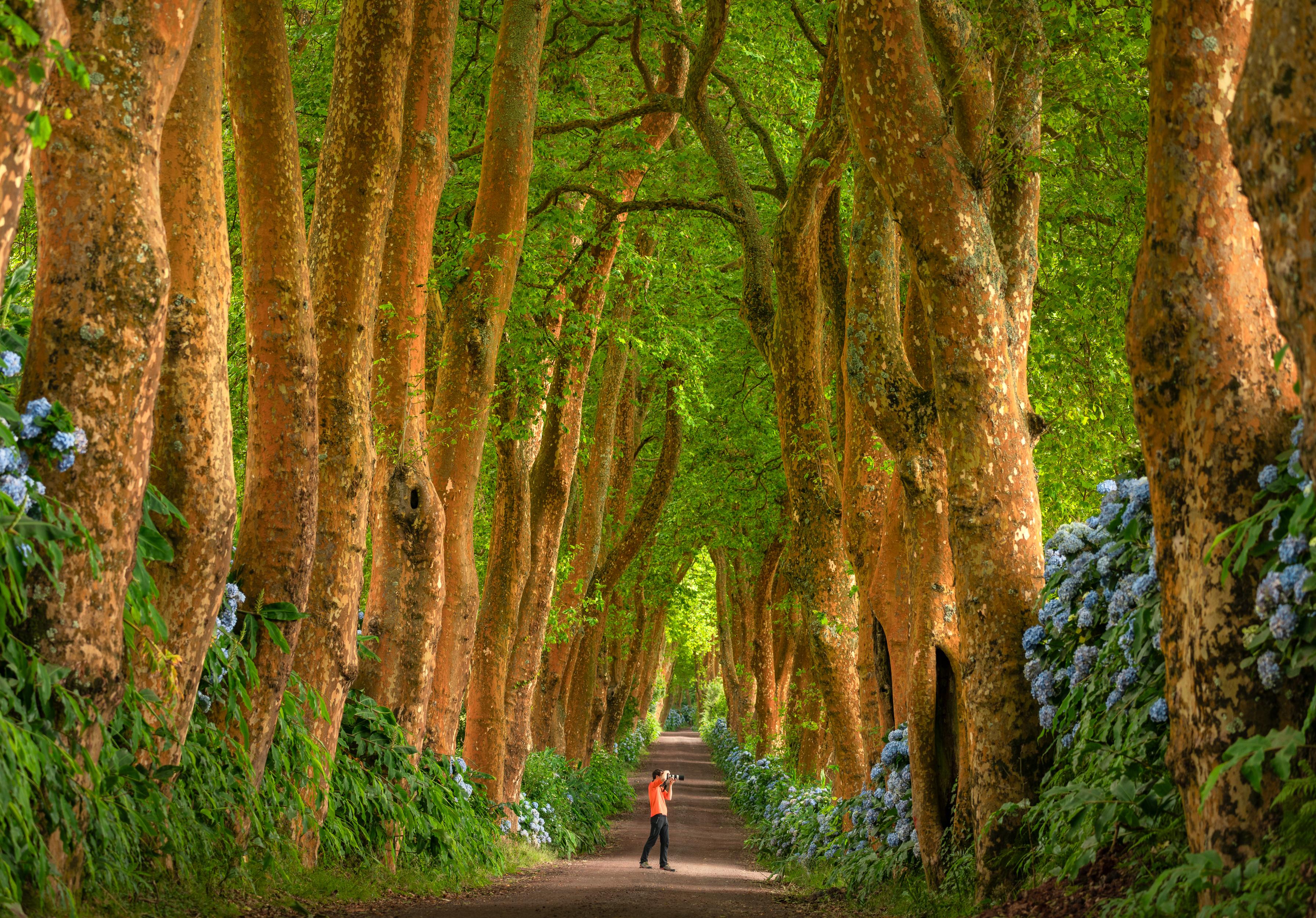 Azores Photography Tour by Luminar Team