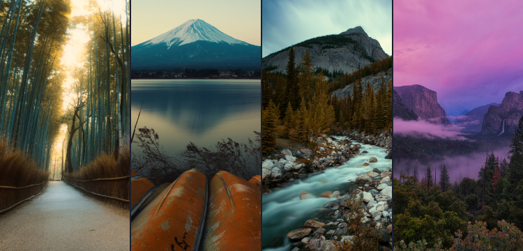 The Untamed Collection Bundle for your photographs.