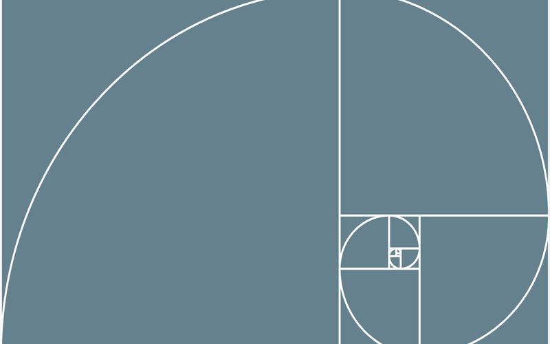 Composition Grids & Guides