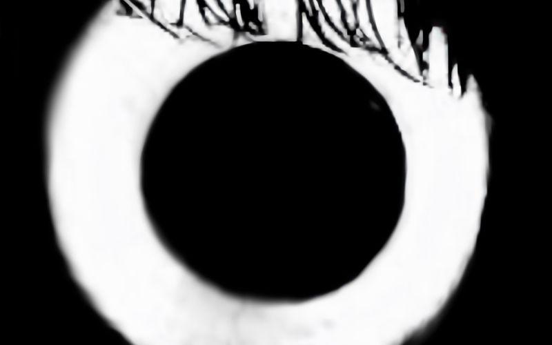 Catchlight Reflections Overlays