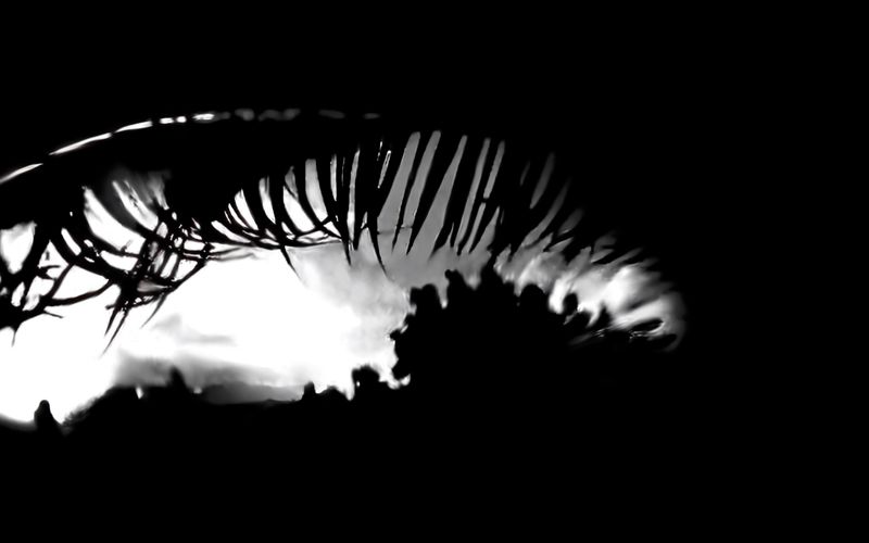 Catchlight Reflections Overlays